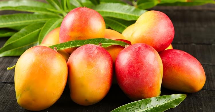 Brazilian Mango Exports